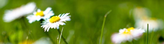 Intervals Spring Update | Intervals Blog